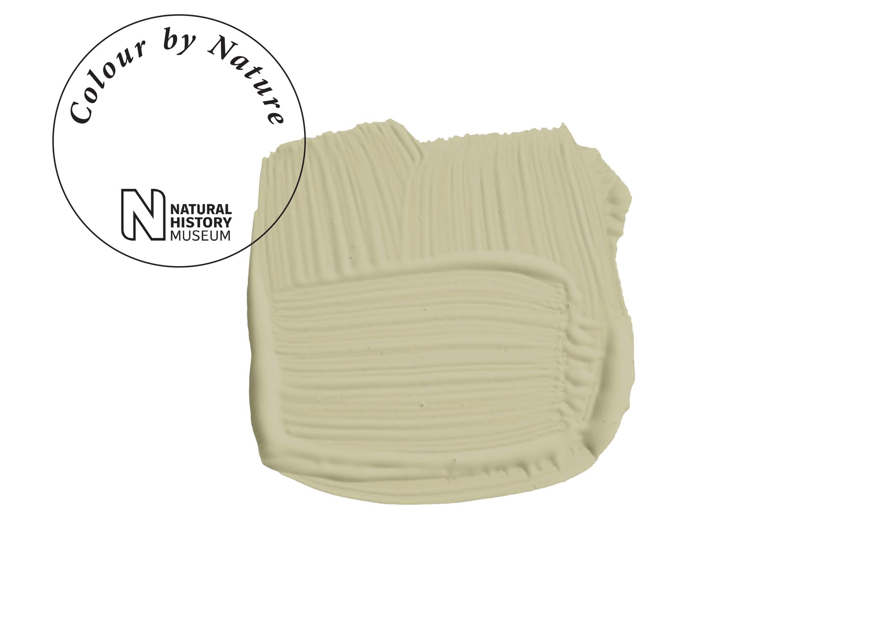 Farrow & Ball Paint - Ash Grey No. W9 - the workroom – the workroom ...